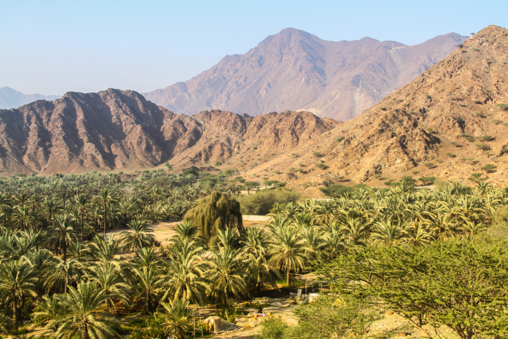 Guide for pocket-friendly activities around Dubai.