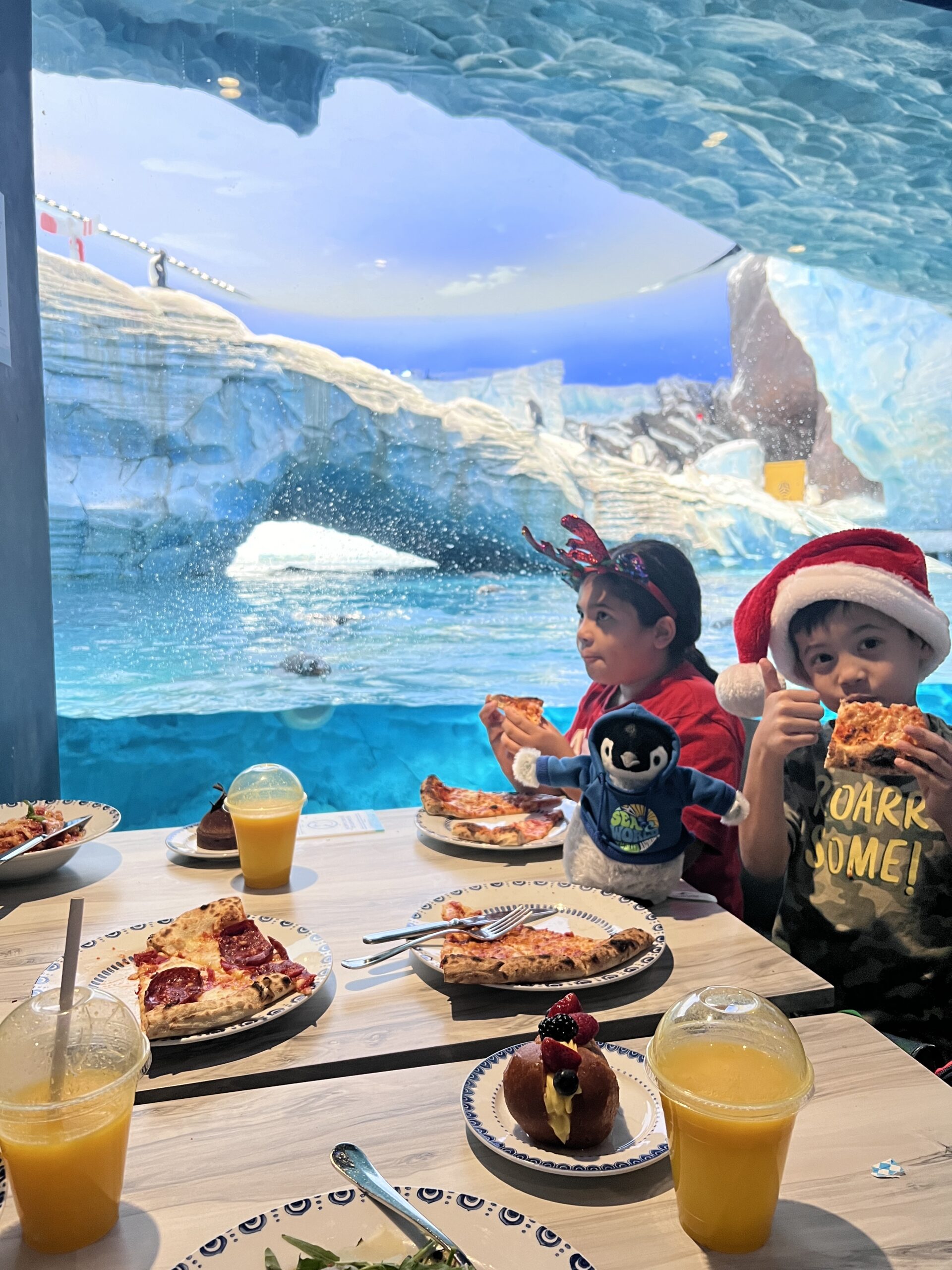 Honest Review of SeaWorld Abu Dhabi - MOMMY LOCAL SPOTS